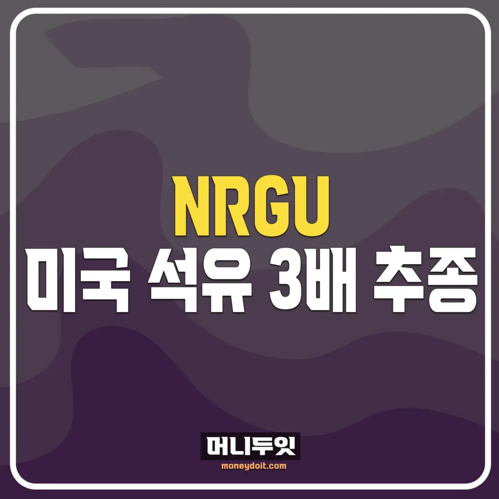 NRGU 종목 구성 : 미국 석유 기업 3배 레버리지 | 머니두잇
